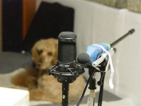 Do Measurements Of Drivers Really Matter For Sound DiyAudio