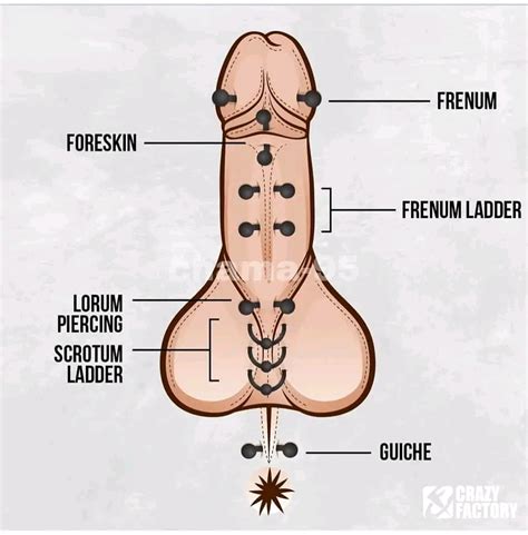 Genital Piercing Photo 3