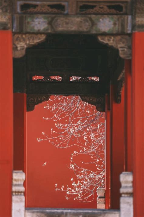 红墙 堆糖美图壁纸兴趣社区