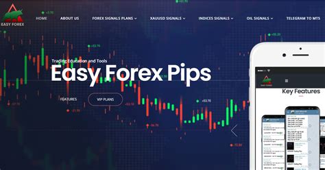 Easy Forex Pips Review Total Scam