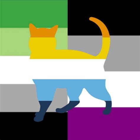 160 Aroace Aromantic And Asexual Memes Ideas To Save Today Asexual