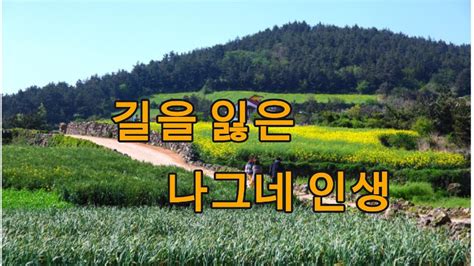 길을 잃은 나그네 인생 Youtube