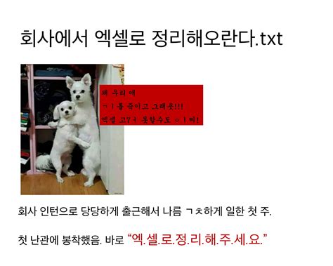 대학의 모든것 텐덤 팀장님 엑셀 못배웠는데요 ㅠ 말 할 수 있음 회사에서 많이 쓰는 엑셀 정리함