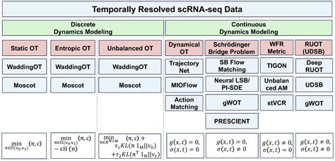Integrating Dynamical Systems Modeling With Spatiotemporal Scrna Seq