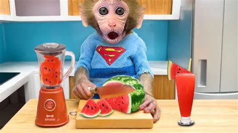 برنامه کودک بچه میمون با موضوع آغوش گرفتن خرس عروسکی