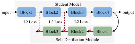 Training Scheme Of The Self Distillation Module Download Scientific