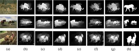 The Results Of The Coarse Saliency Map And The Final Saliency Map Of Download Scientific