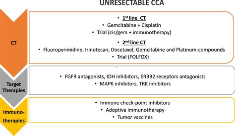 Clinical Treatment Of Cholangiocarcinoma An Updated Comprehensive Review Annals Of Hepatology