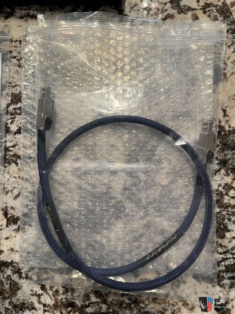 Audience Hidden Treasure Ethernet Cable 1m Photo 4595115 Uk Audio Mart