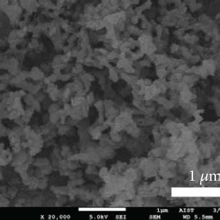 A FE SEM Images Of SiO2 Df FE SEM Images And G EDS Image Of Download Scientific Diagram