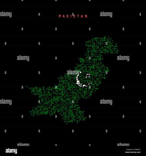 Pakistan Flag Map Chaotic Particles Pattern In The Colors Of The Pakistani Flag Vector