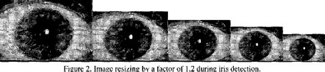 Figure 2 From Fast Iris Detection Using Neural Nets Semantic Scholar