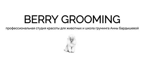 Стрижка собак и кошек в Москве Berry Grooming Berry Grooming это школа студия