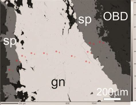 Sphalerite Galena Vein Type Assemblage In The Orebearing Dolomite From