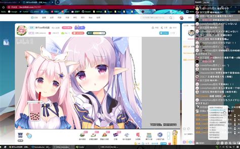 Bilive Danmaku弹幕姬演示哔哩哔哩bilibili