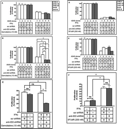 A549 Clone Sensitivity To Gemcitabine And 5fudr Before And After Ido