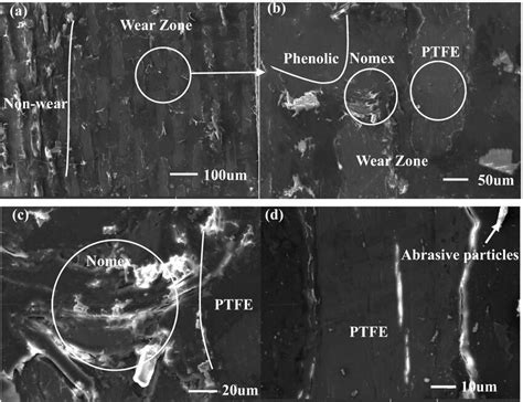 Sem Images Under Dry Friction A Wear Area Morphology B Magnified Download Scientific