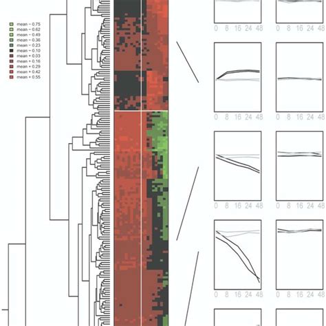 Analysis Of Microarray Data By Hierarchical Clustering A