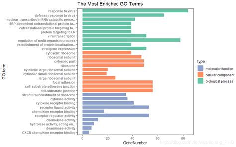 Ggplot2画go富集柱状图bp Cc Mf的综合柱状图 Csdn博客