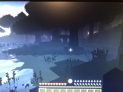 seus too bright and bsl too dark shader trouble r rlcraft