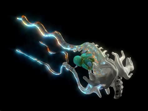 Texturing Issue Question In The Comments Rcinema4d