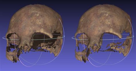 Back Face Culling Alchetron The Free Social Encyclopedia