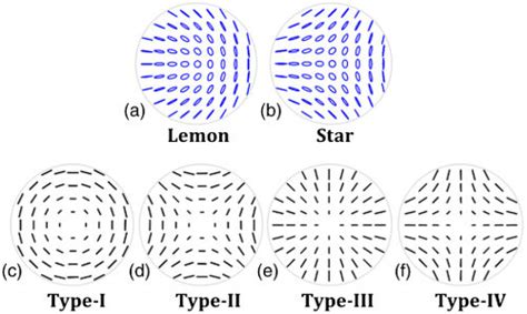Polarization Pattern Of Different Optical Fields With Polarization