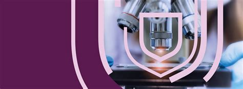 Looking For The Right Journal To Publish Your Research The Taylor