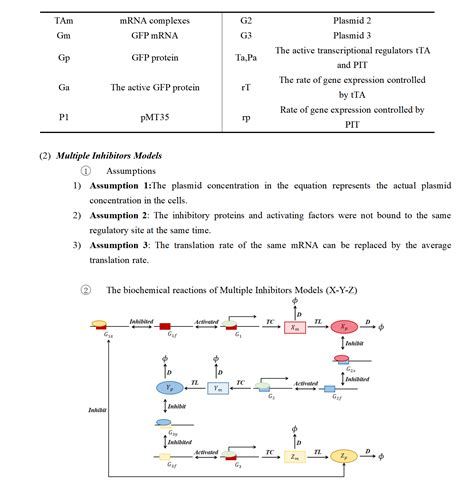 Gene Circuit Models Csu China Igem 2023