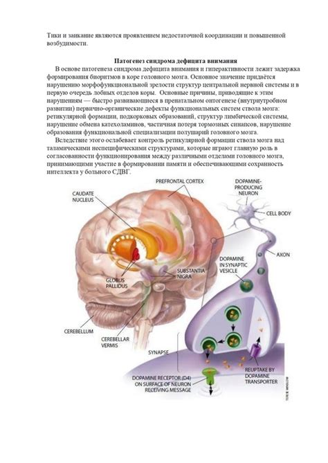 Книги по детской психологии и воспитанию детей 2024 ВКонтакте