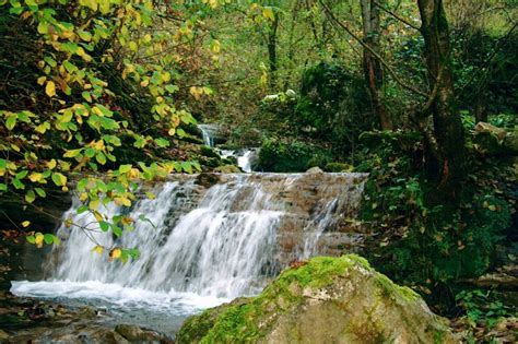 რაჭა ლეჩხუმი 0 Gel Geoscovery