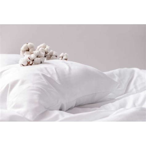 Cotton With Backing Pillow And Cushion Ab Home Store