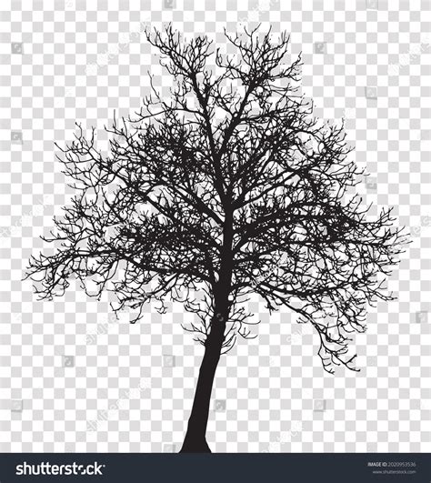 Vector Drawing Naked Winter Tree Stock Vector Royalty Free Shutterstock