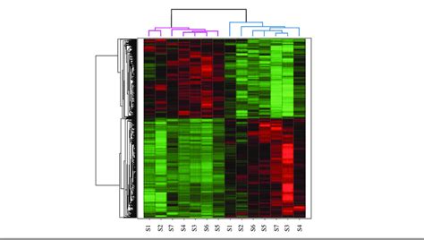 Unsupervised Hierarchical Clustering Of Gene Expression Profiles In Download Scientific Diagram