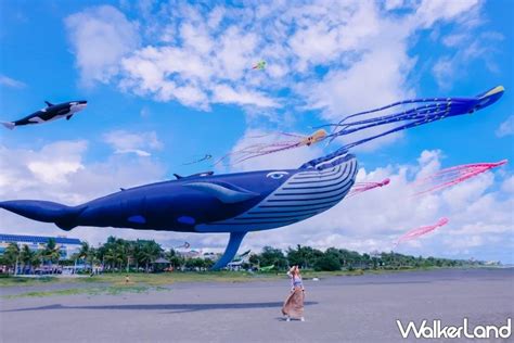 網美搶先拍一波2022旗津風箏節正式開拍超壯觀30隻鯨魚風箏超長35米章魚風箏好拍到讓人拍到不想回家 WalkerLand