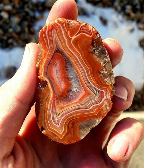 Lake Superior Agates Rocks And Gems Rocks And Minerals Minerals And