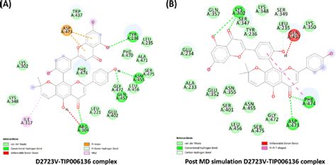 A Intermolecular Hydrogen Bonds Electrostatic Connections And