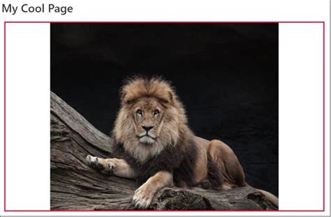 Css Selectors In Elementor Elementor