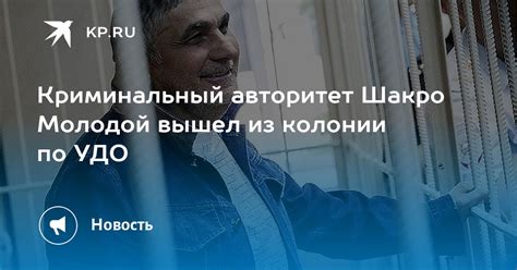 Криминальный авторитет Шакро Молодой вышел из колонии по УДО Kp Ru