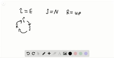 Vectors Fundamentals Of Physics Numerade