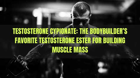 Testosterone Injection For Bodybuilding Dosage Benefits Before And