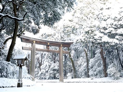 Forest｜meiji Jingu