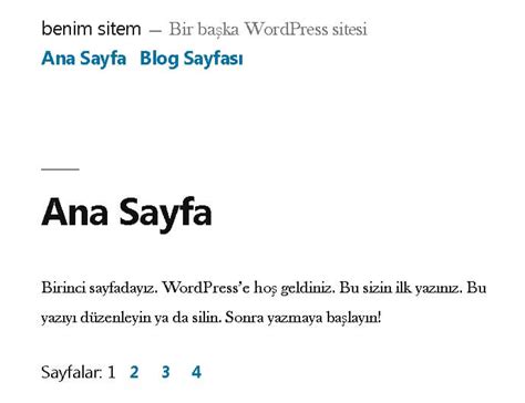 Get Posts Fonksiyonu WordPress