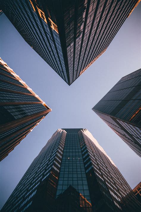 What Are The Different Regularization Techniques In Fin