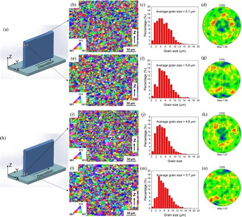 Ebsd Orientation Maps Of Different Cross Sections Of The As Deposited Download Scientific