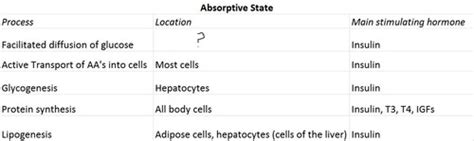 Absorptive State Lecture 22 Mammals Flashcards Quizlet
