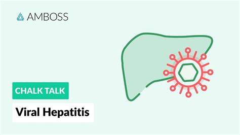 Viral Hepatitis Comparing Hepatitis A B C D And E Youtube