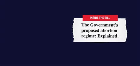 8th Amendment The Proposed Legislation Explained Heroes