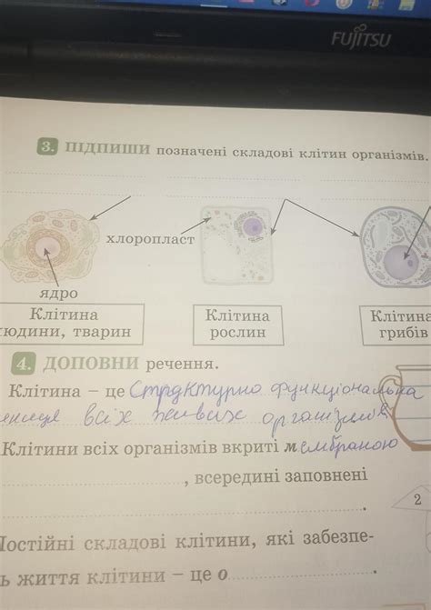 призначені складові клітин організмів Школьные Знания Com