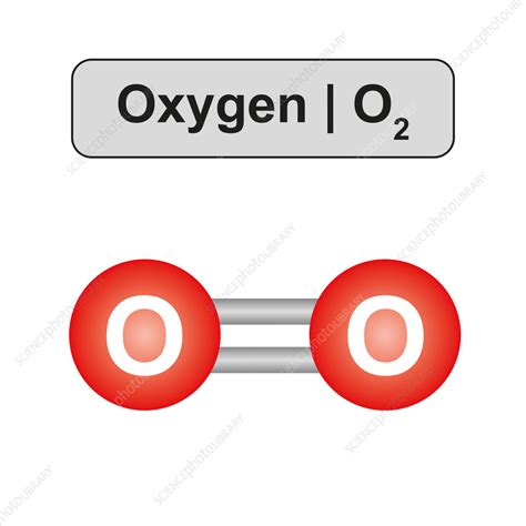 Oxygen Molecule 3d Reaction Of Hydrogen With Oxygen 3d Scene
